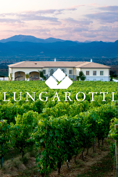 Lungarotti: visita con degustazione | Bernabei