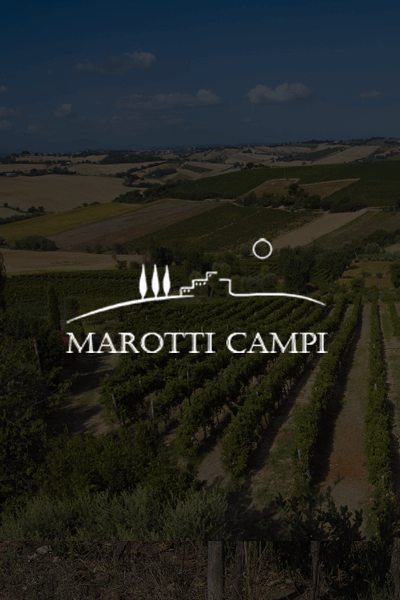 Marotti Campi: visita con degustazione | Bernabei