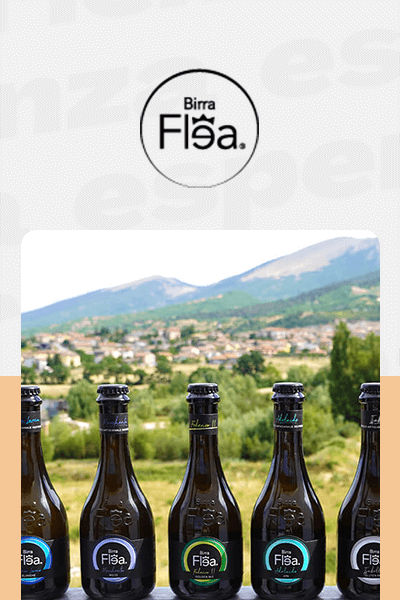 Birra Flea: visita con degustazione e aperitivo | Bernabei